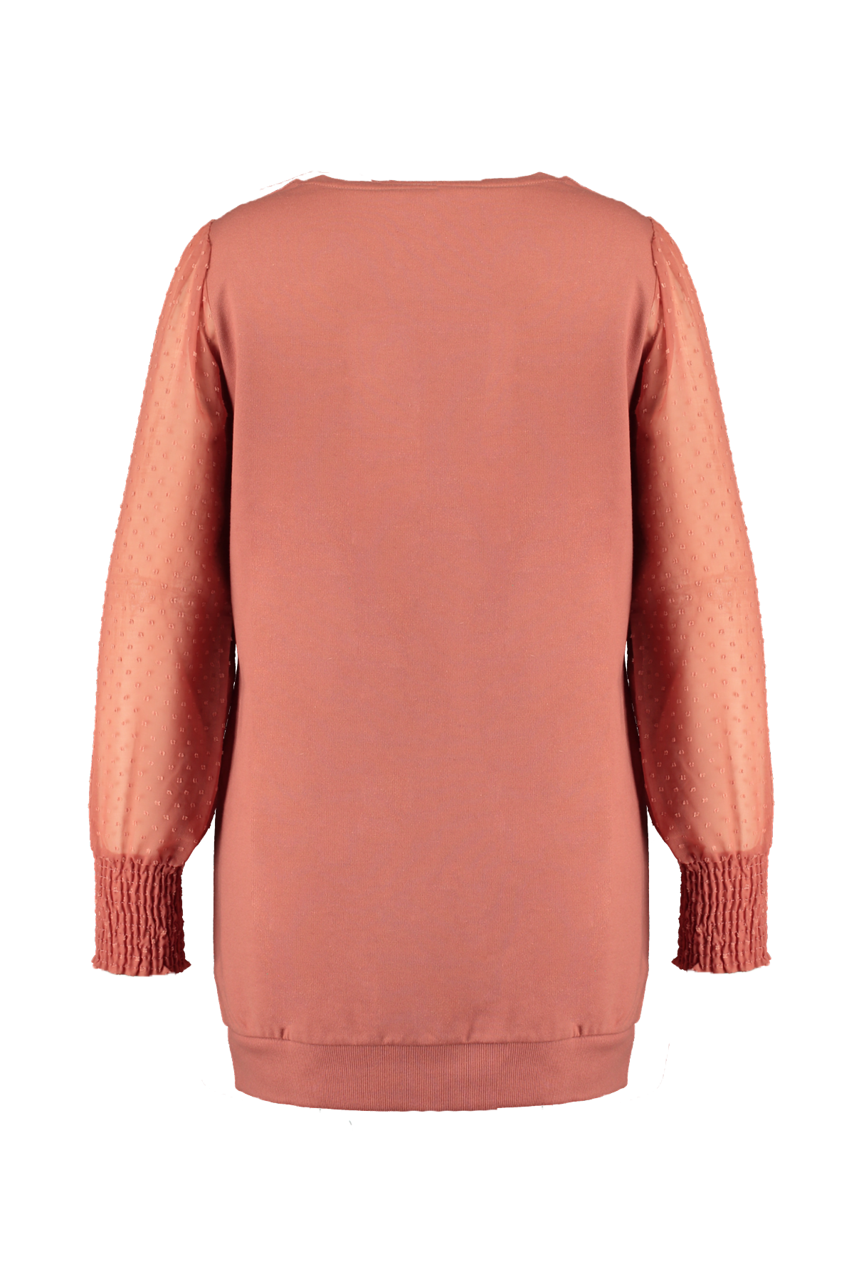 Mujeres Top con mangas transparentes en MS Mode®